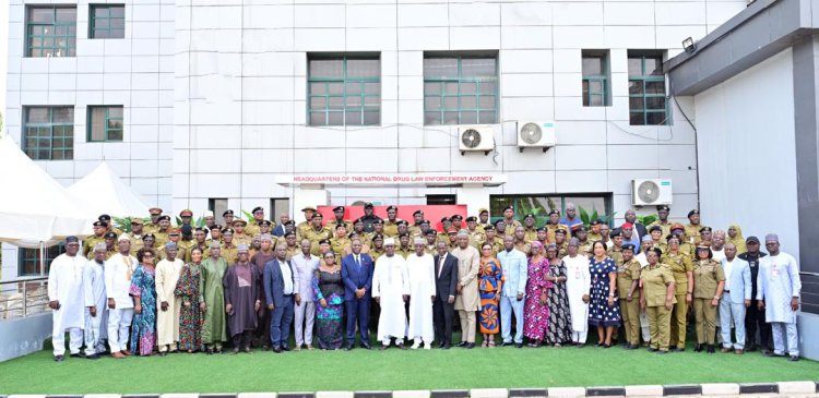 NDLEA: Marwa Sets 2026 Operational Targets For Directors, Zonal ...