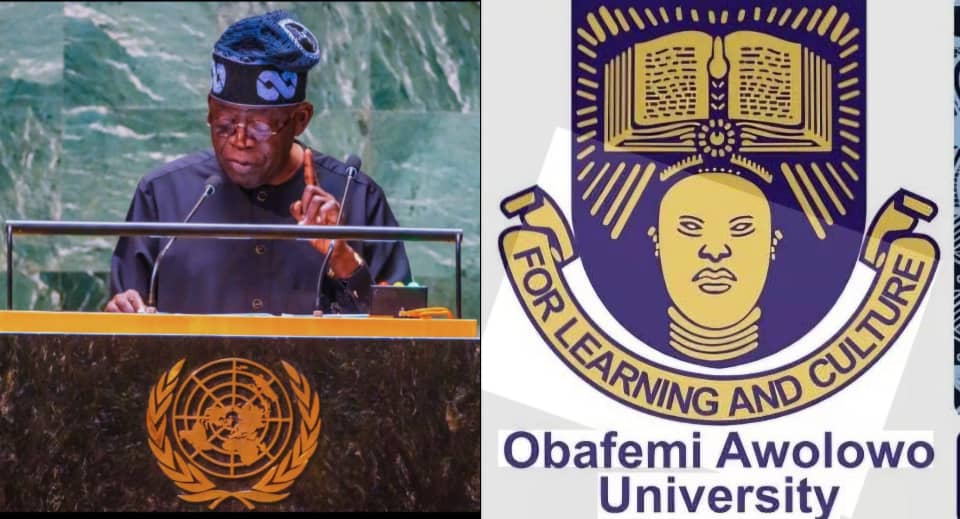 OAU VC, Others Applaud Tinubu’s Appointment Of Jimoh Ibrahim As UN Envoy