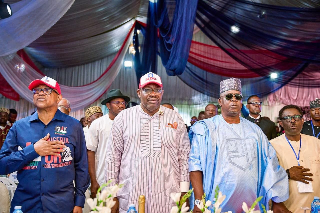 Dickson Pushes Consensus Ahead of NDC Primaries, Promises Transparent ...